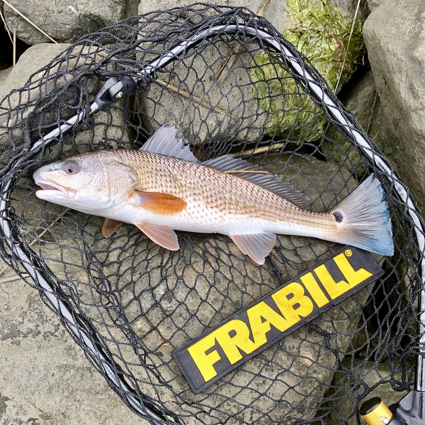 Frabill® Fishing Gear | Nets, Bait, Ice Fishing